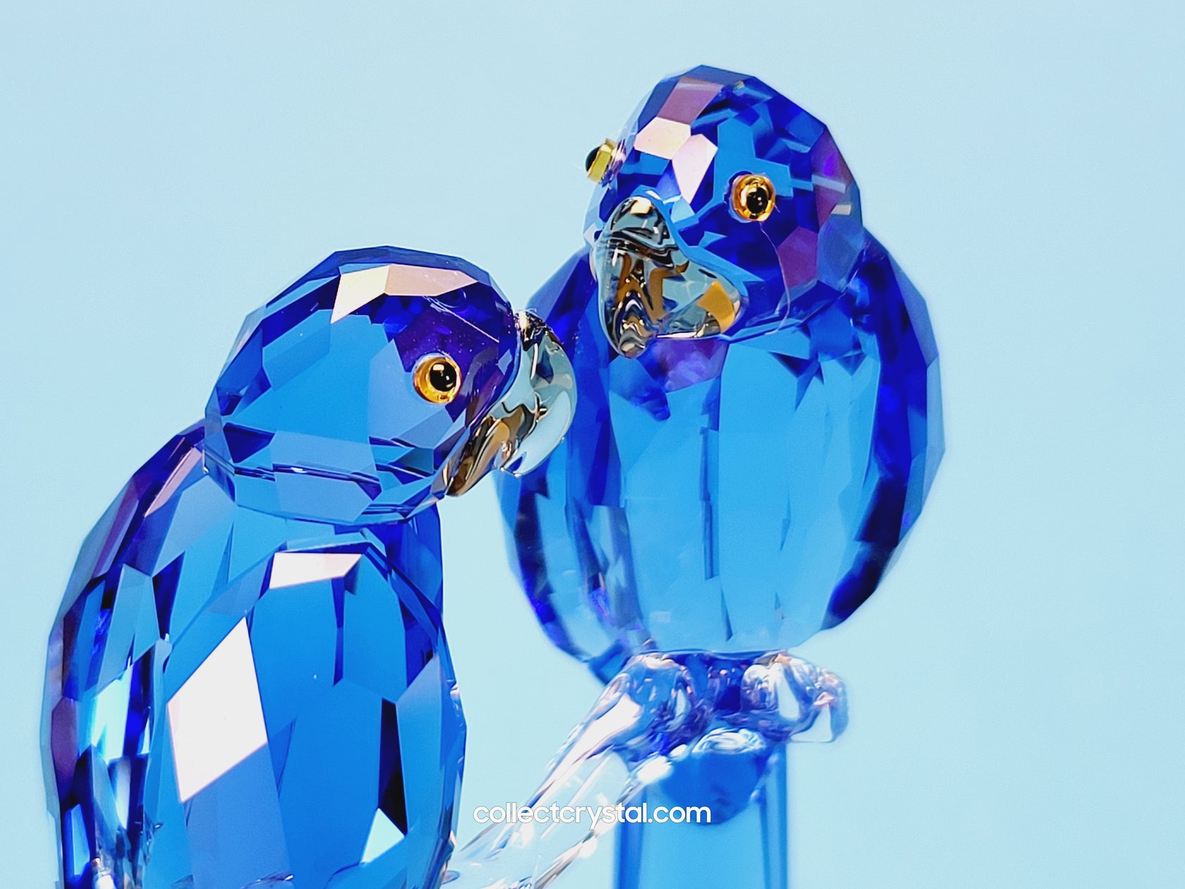 HYACINTH MACAWS # 5004730 blue birds – Collect Crystal
