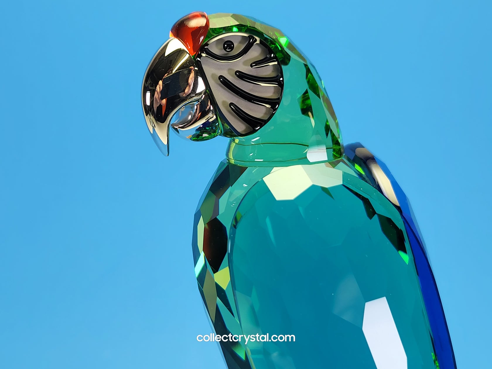 Macaws Paradise Parrot Chrome Green Bird 685824 Figurine – Collect Crystal