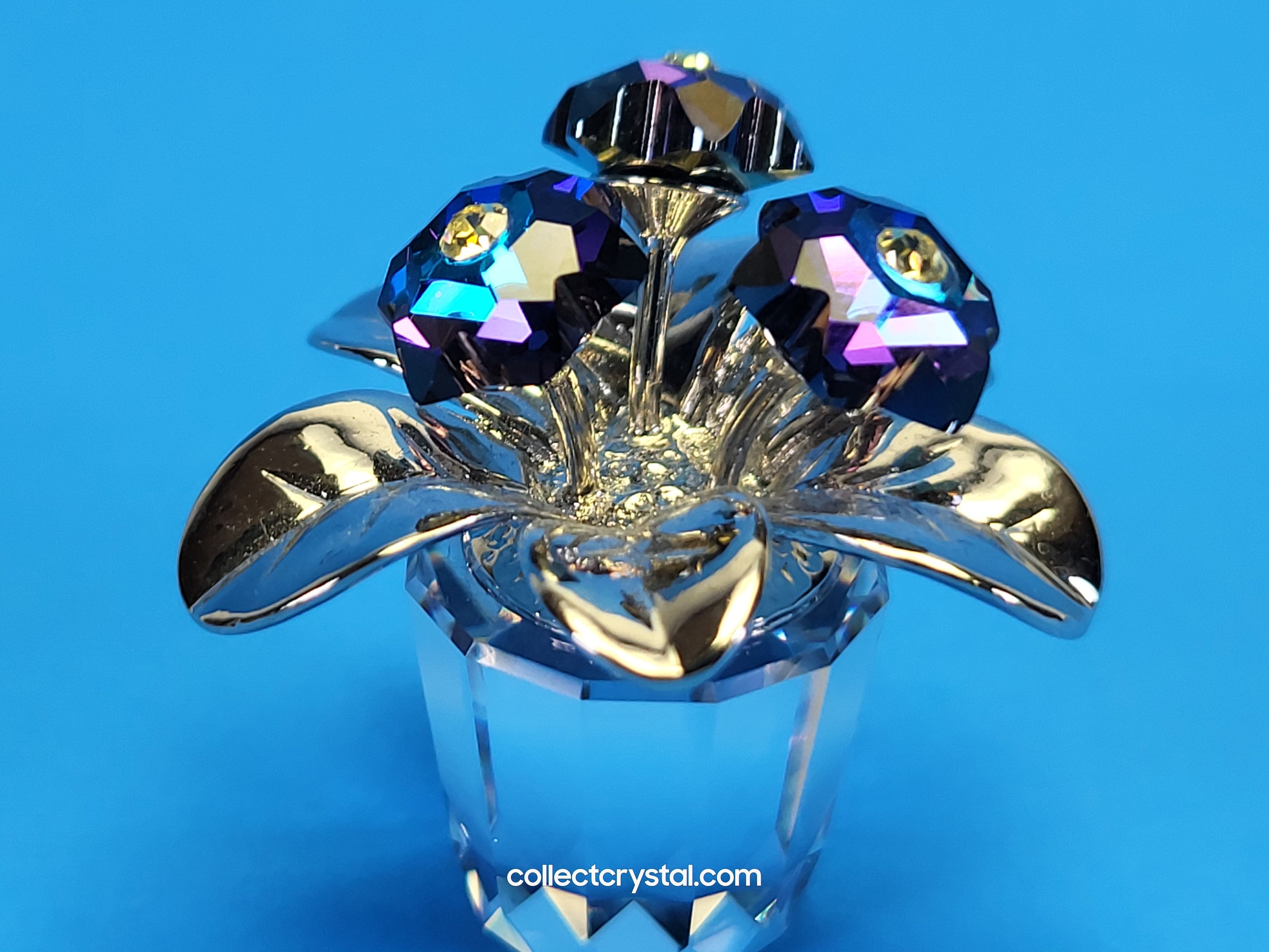 MEMORIES – PRIMULA RHODIUM BLUE 718985 – Collect Crystal