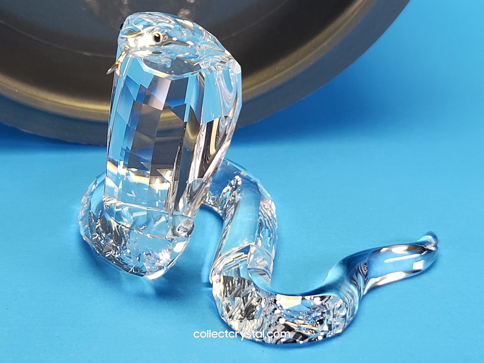 COBRA SNAKE 243979 – Collect Crystal