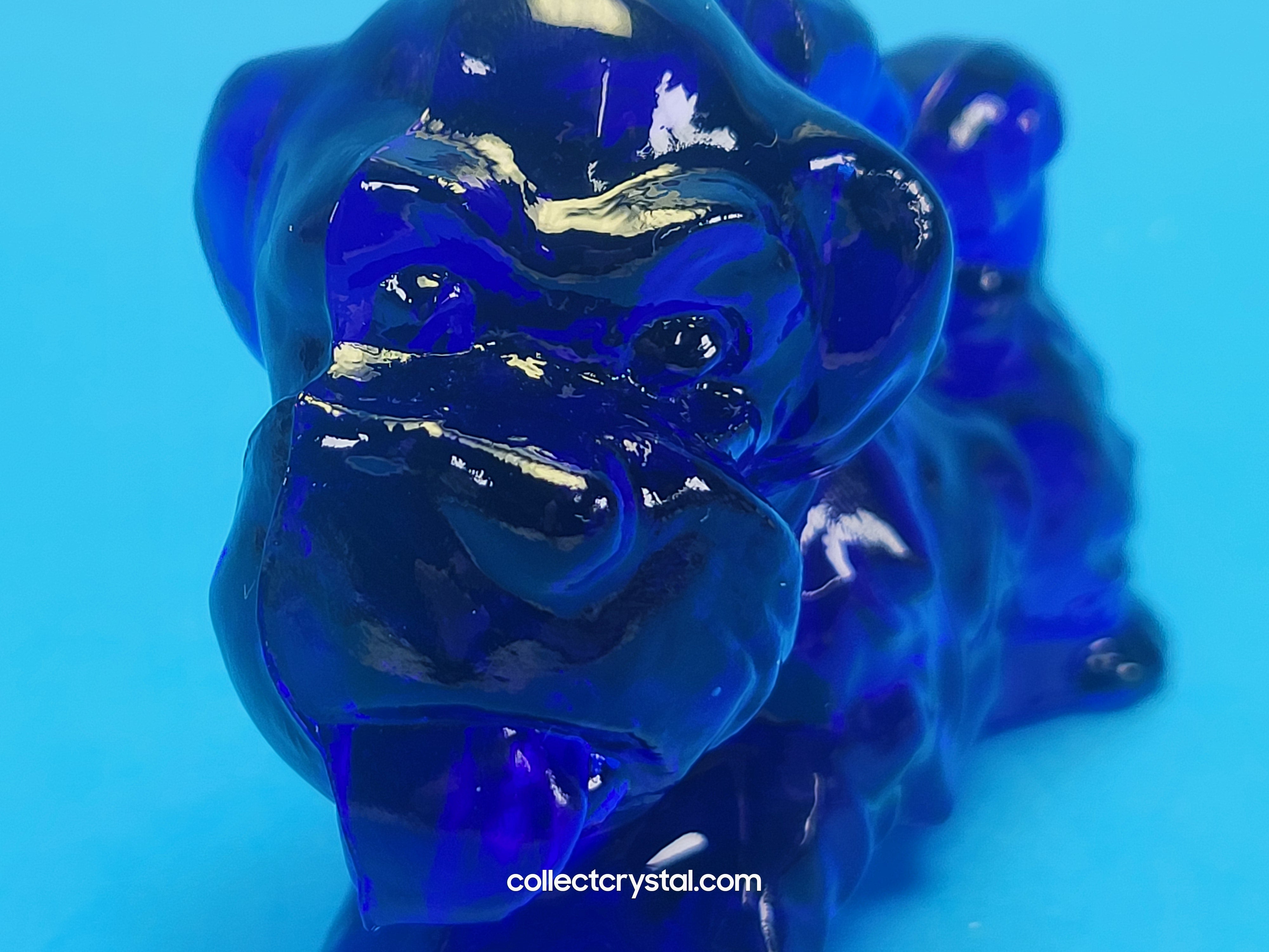 Boyd Art Glass Parlour Pup Terrier Cobalt Blue – Collect Crystal